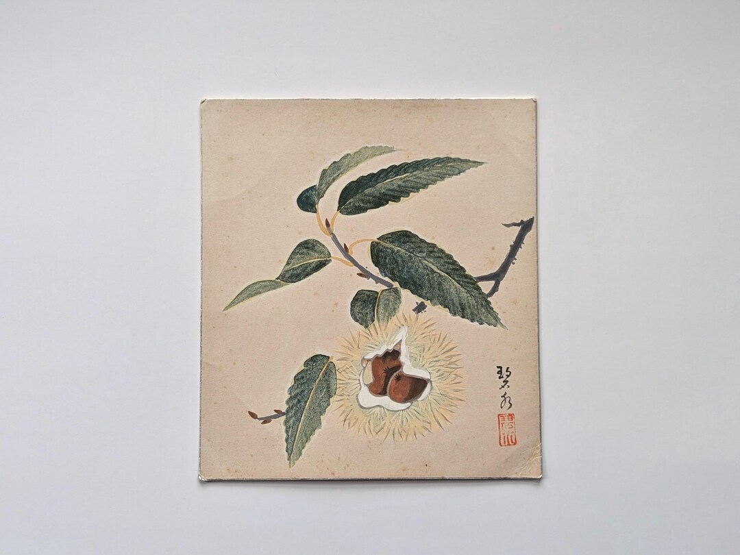 Shikishi Painting | Watercolour Drawing | Chesnut Fruits and Leaves - Etsy
