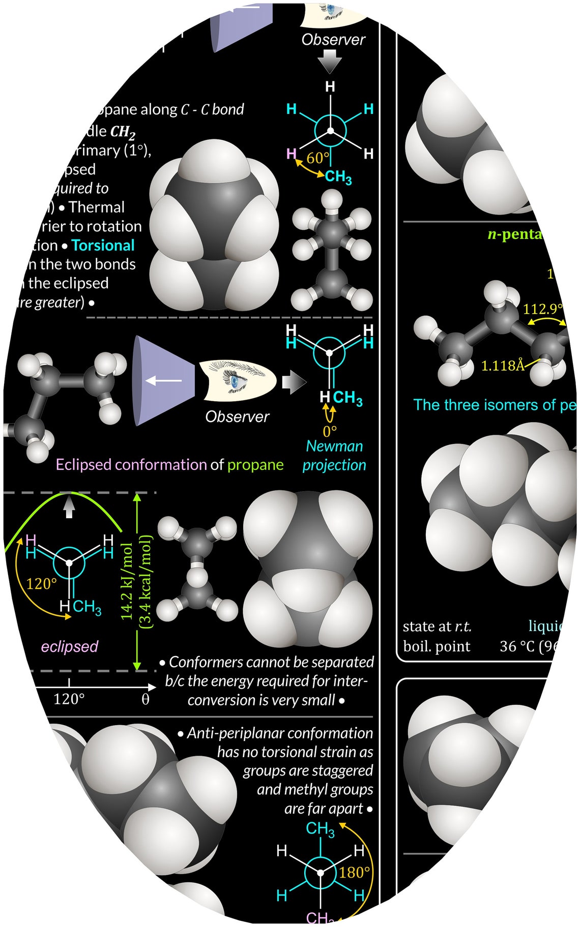ORGANIC CHEMISTRY Science Educational Poster Chart - Quick Study 24x36 ...