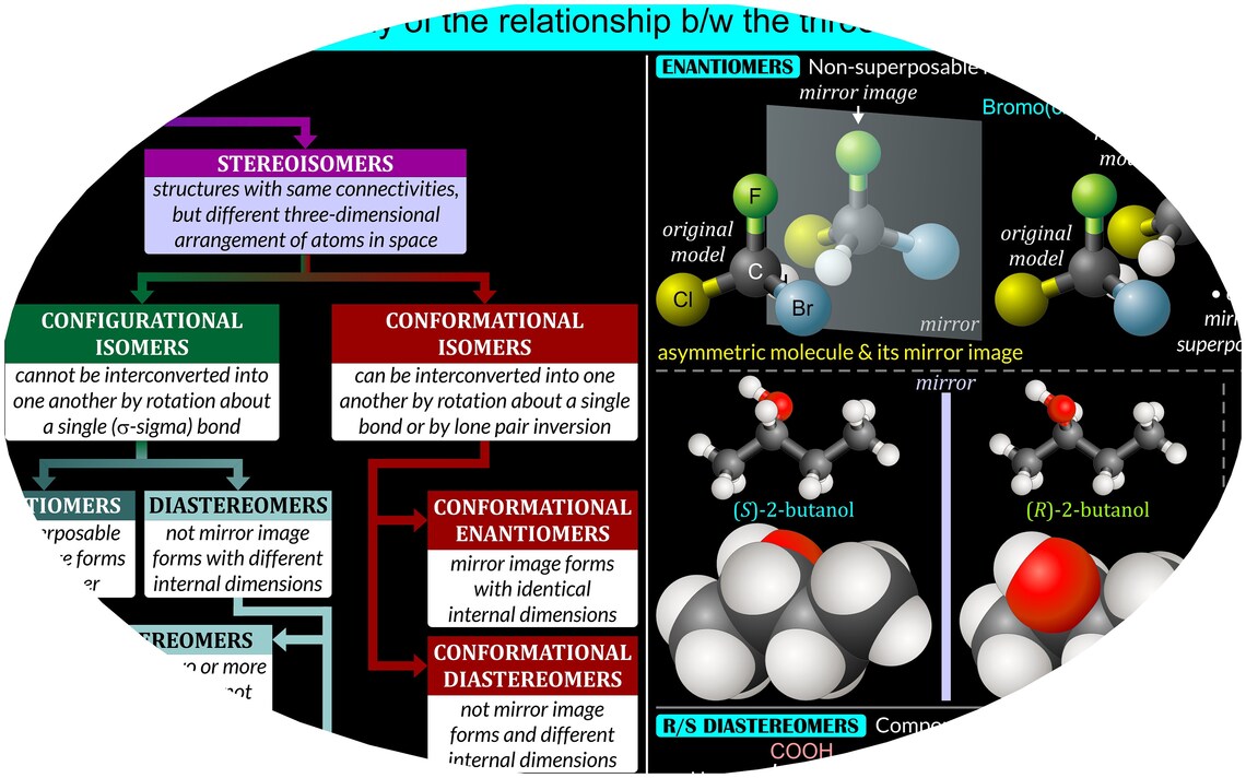 2IN1 Double ORGANIC CHEMISTRY Poster Chart With Functional Groups ...
