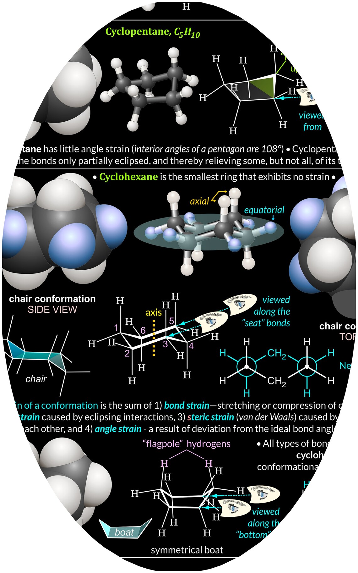 ORGANIC CHEMISTRY Science Educational Poster Chart - Quick Study 24x36 ...