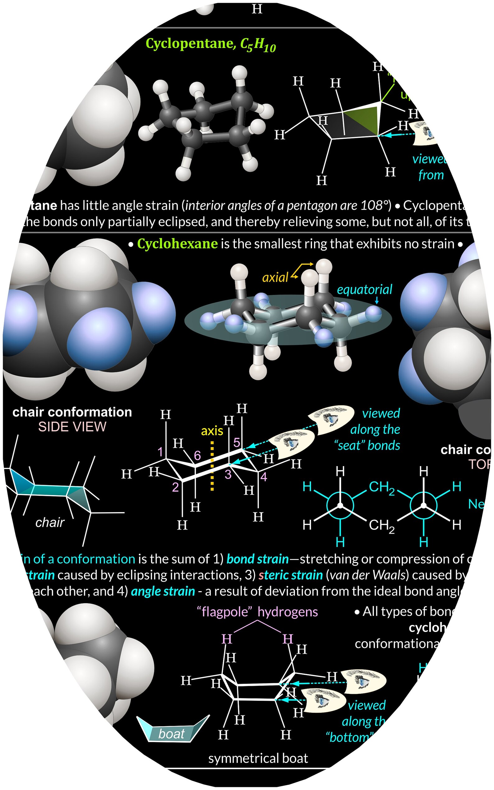ORGANIC CHEMISTRY Science Educational Poster Chart - Quick Study 24x36 ...