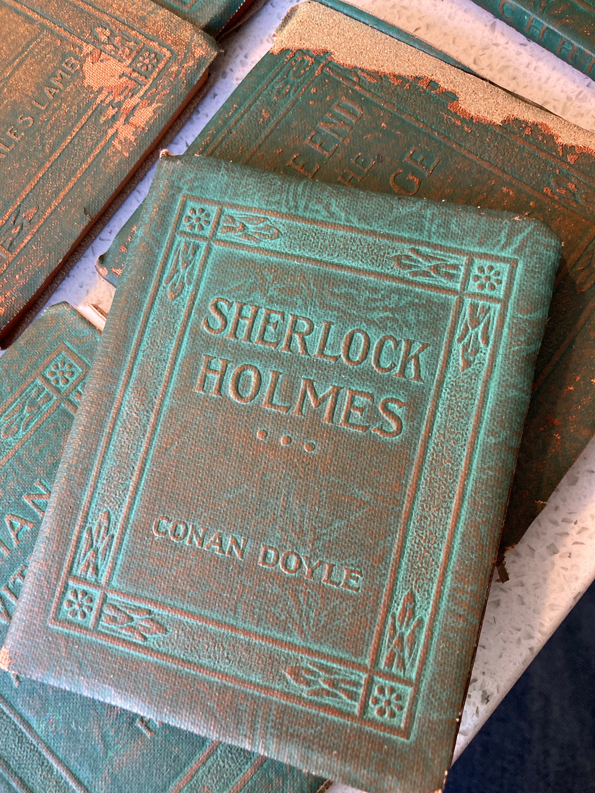 Little Leather Library - Etsy