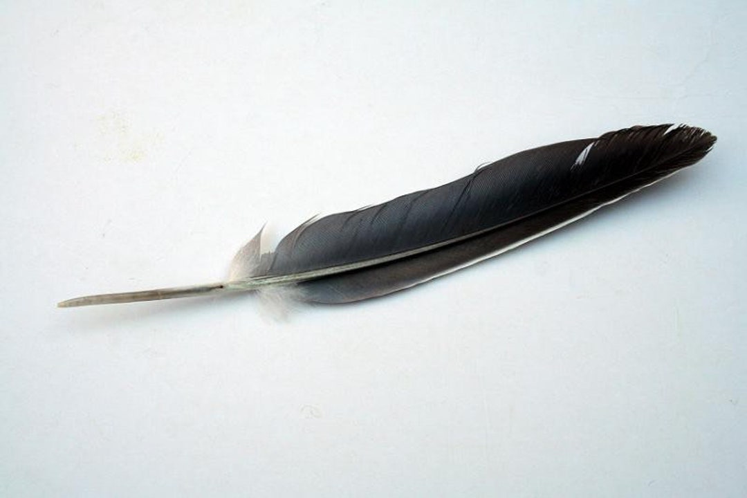 Prayer Feathers Made for You, in the Traditional Shamanic Way! - Etsy