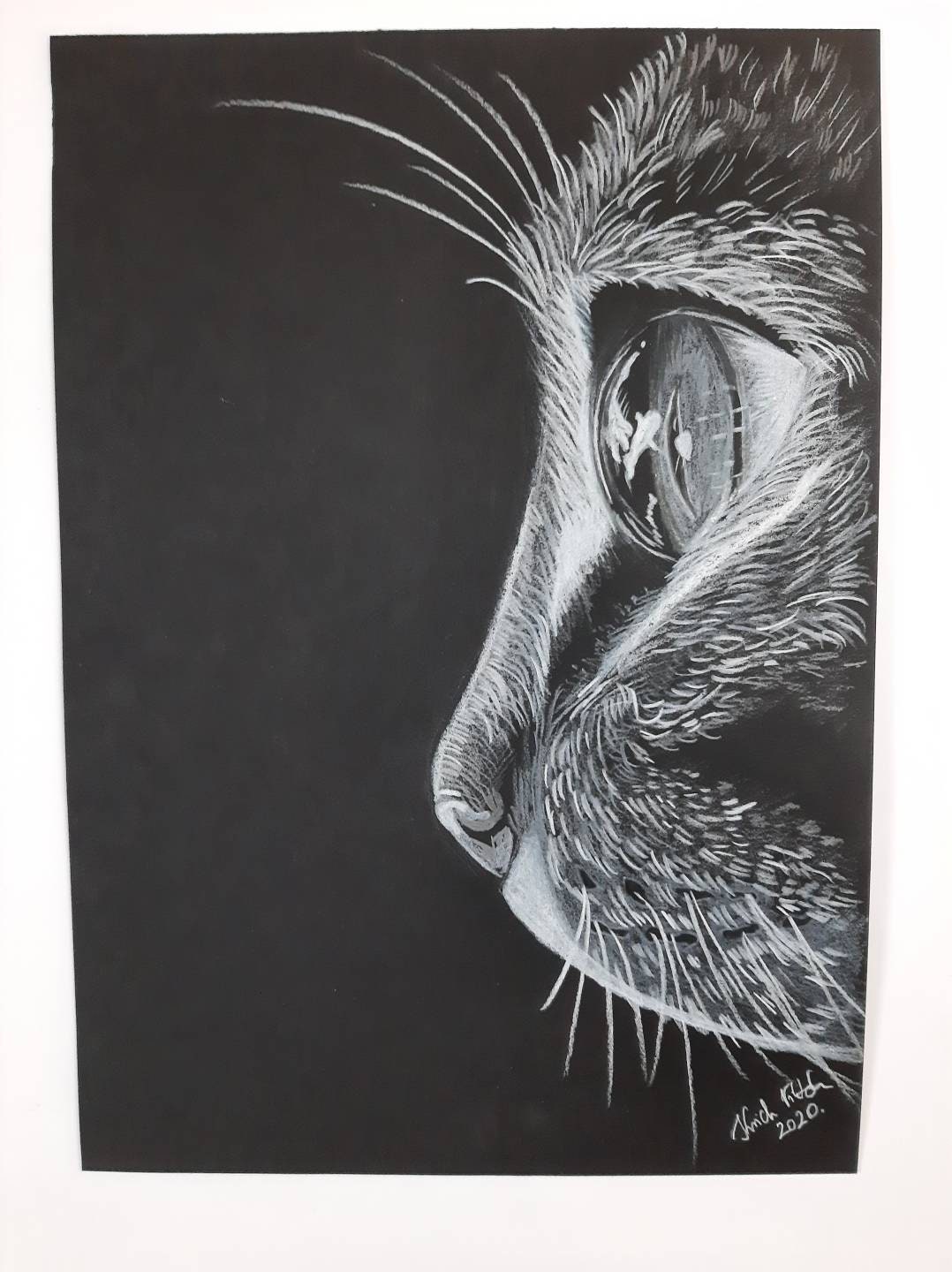 White Pencil Drawing On Black Paper