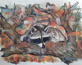 Raccoon Watercolor | Etsy