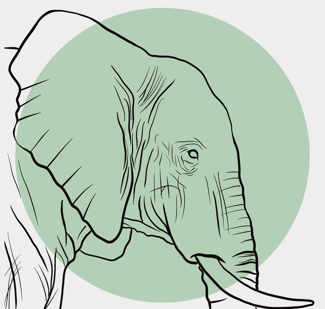 Elephant Print Minimalist Elephant Art Elephant Line Drawing - Etsy