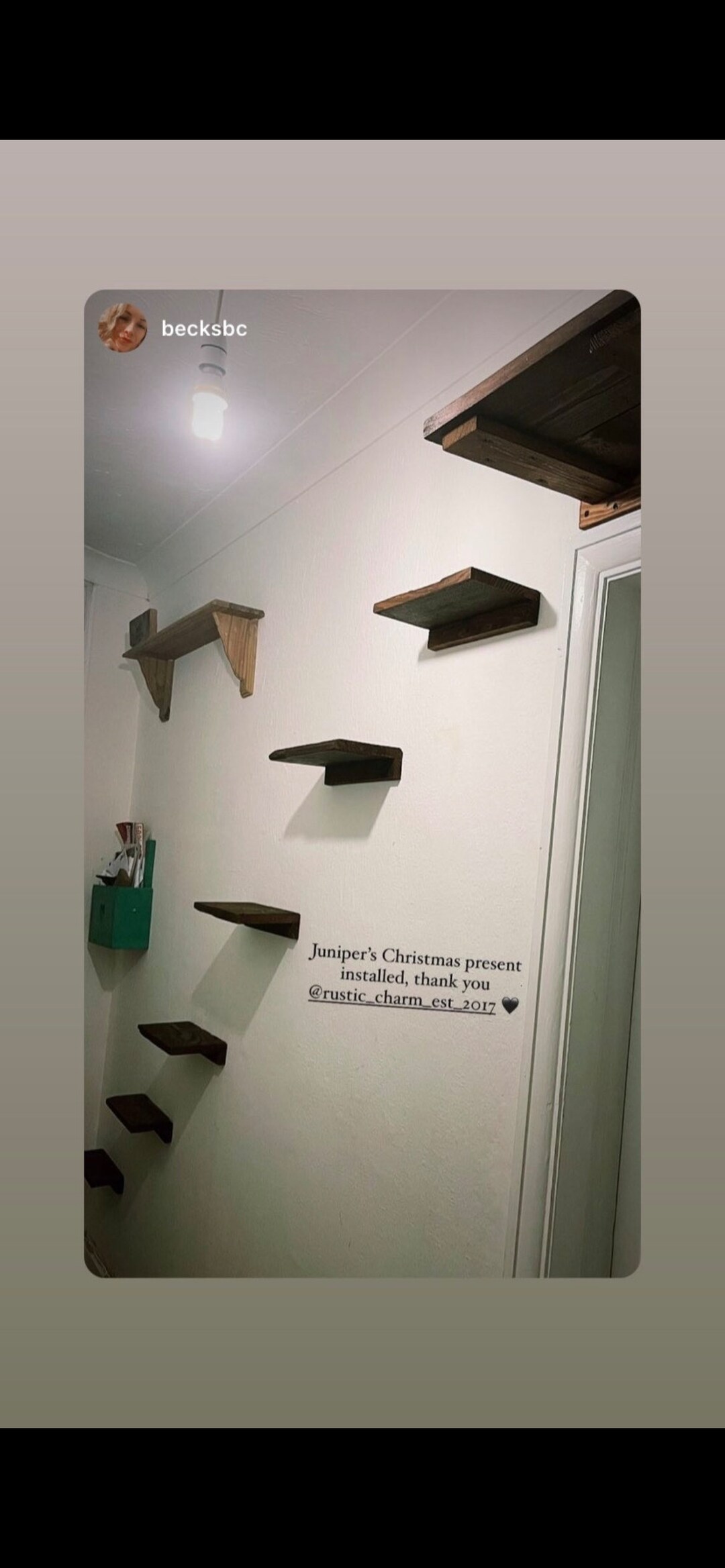 Wall Mount Cat Steps Cat Stepping Stones and Large Bedding - Etsy