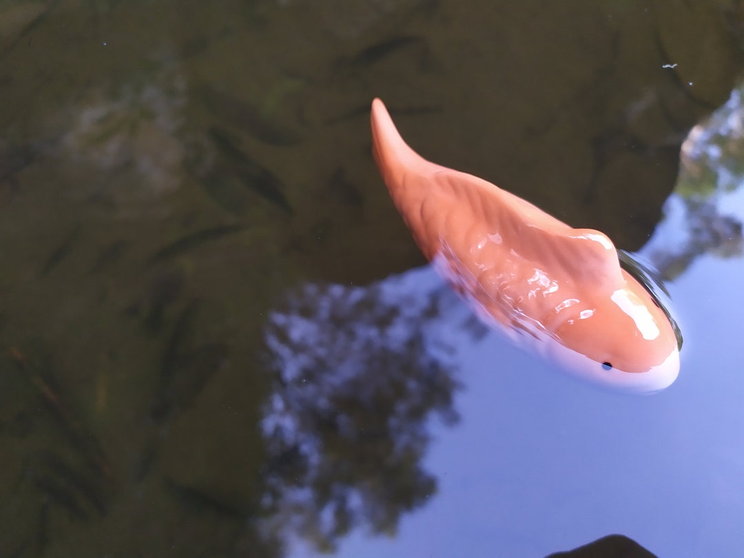 Floating Fish Tank Decorationcute Ceramic Fish Aquarium Decorfish Tank ...