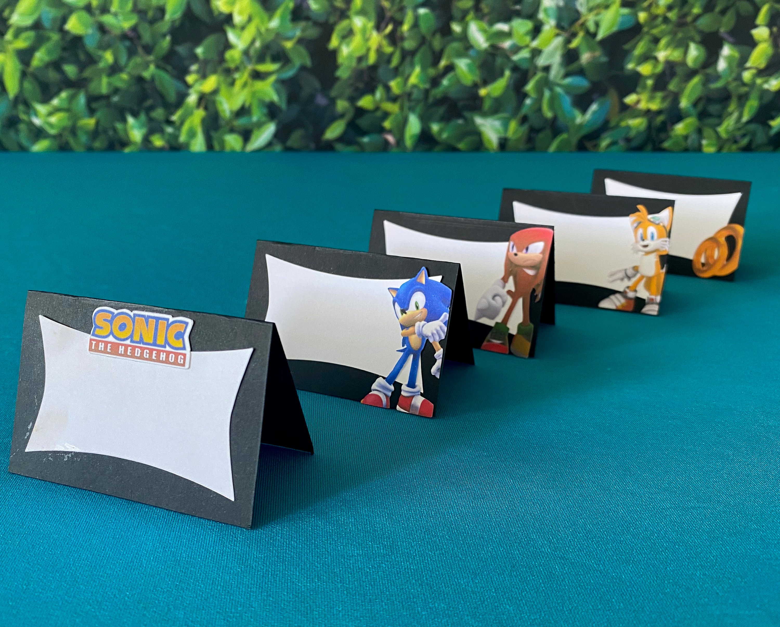 Sonic the Hedgehog Food Labels Sonic Place Cards Sonic Tent - Etsy