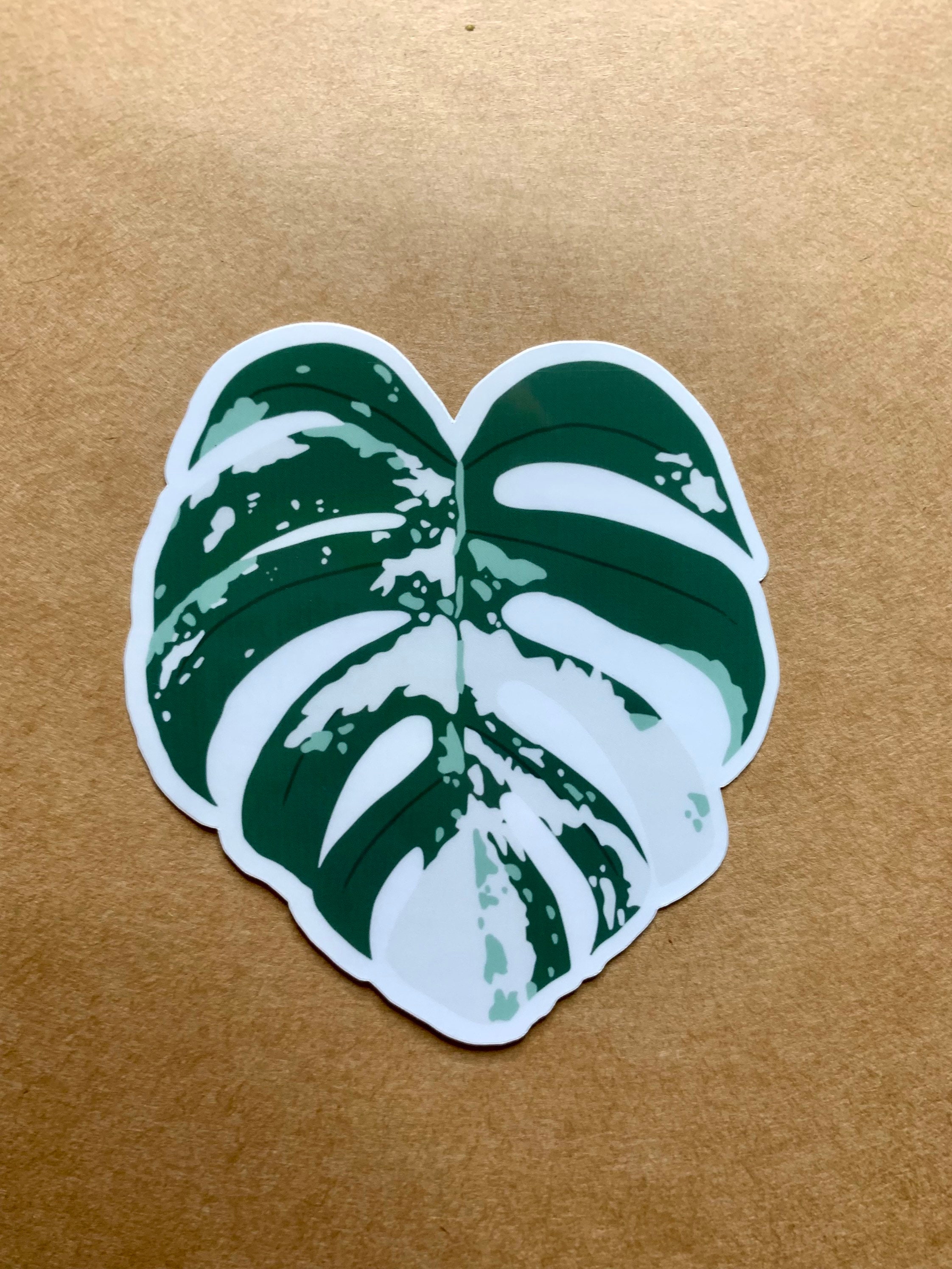 Monstera sticker variegated monstera albo plant stickers for | Etsy