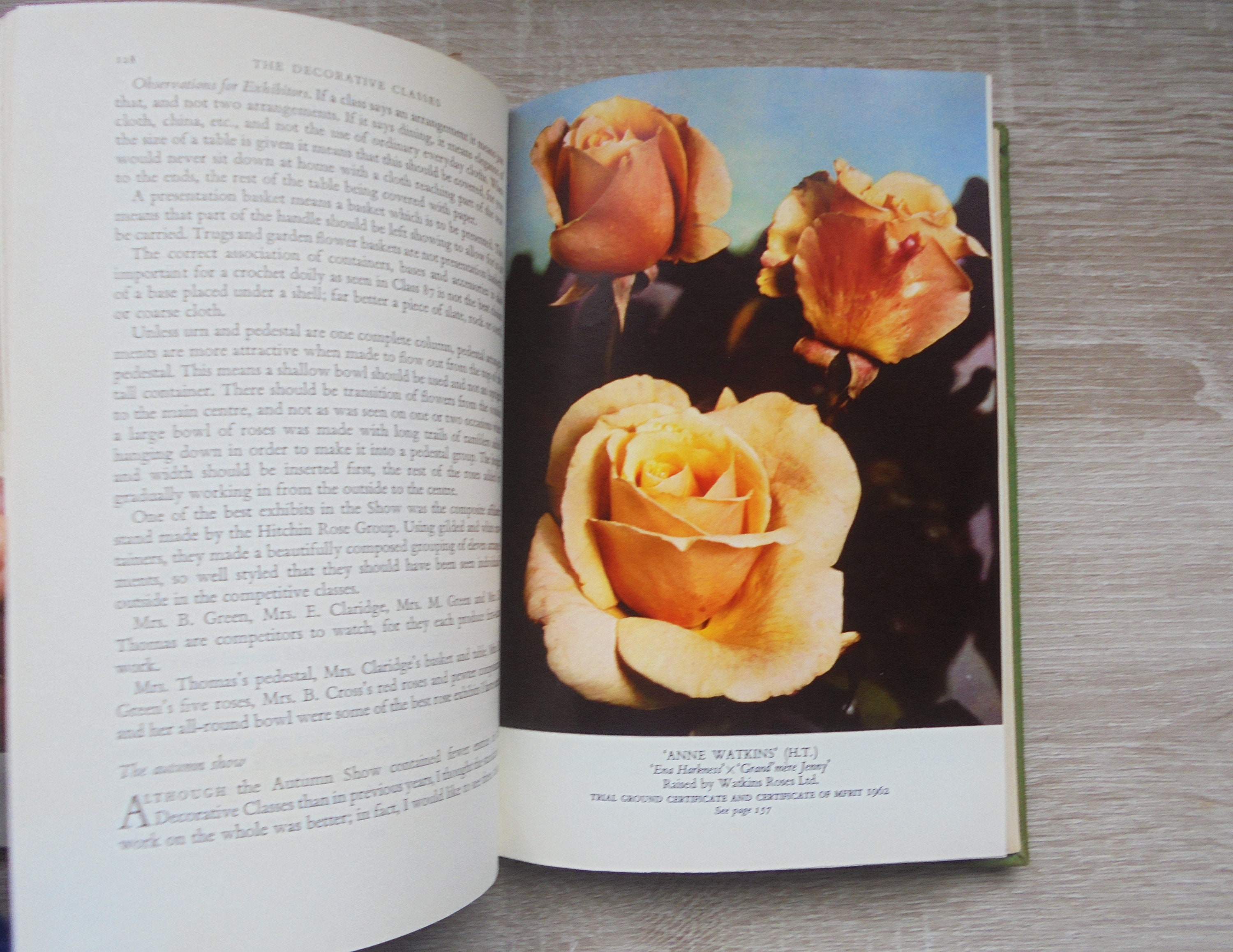 The Rose Annual 1963, the Royal National Rose Society, Vintage Book ...