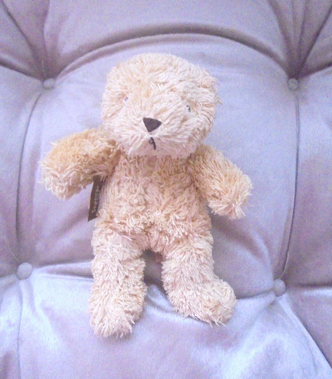 Spencer Bear M&S Rare 5-inch Baby Teddy Bear Marks and Spencer Teddy ...