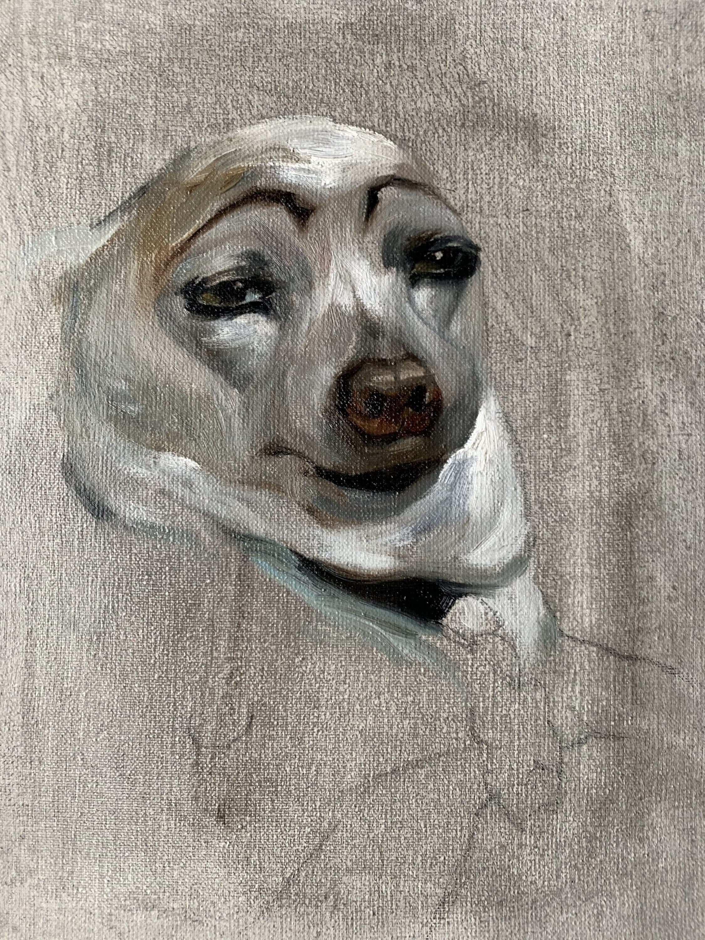 Drawing Eyebrows On Dogs