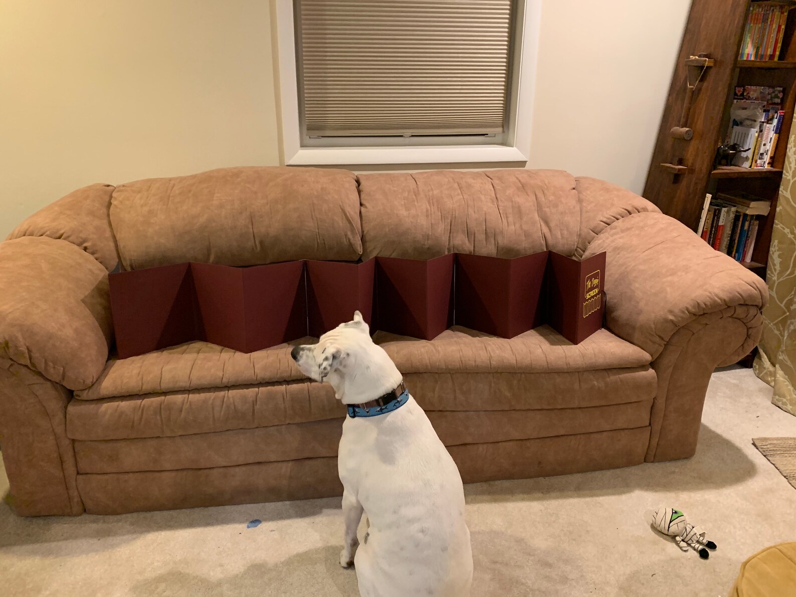 The Doggie Screen Original - Etsy