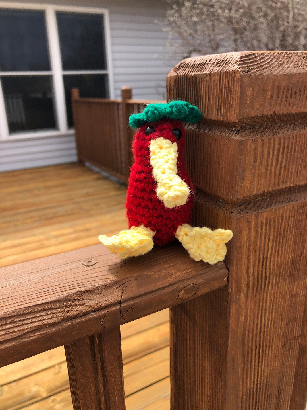 Sammi the Strawberry Kiwi Bird Crochet Amigurumi Handmade Bird Plushie ...