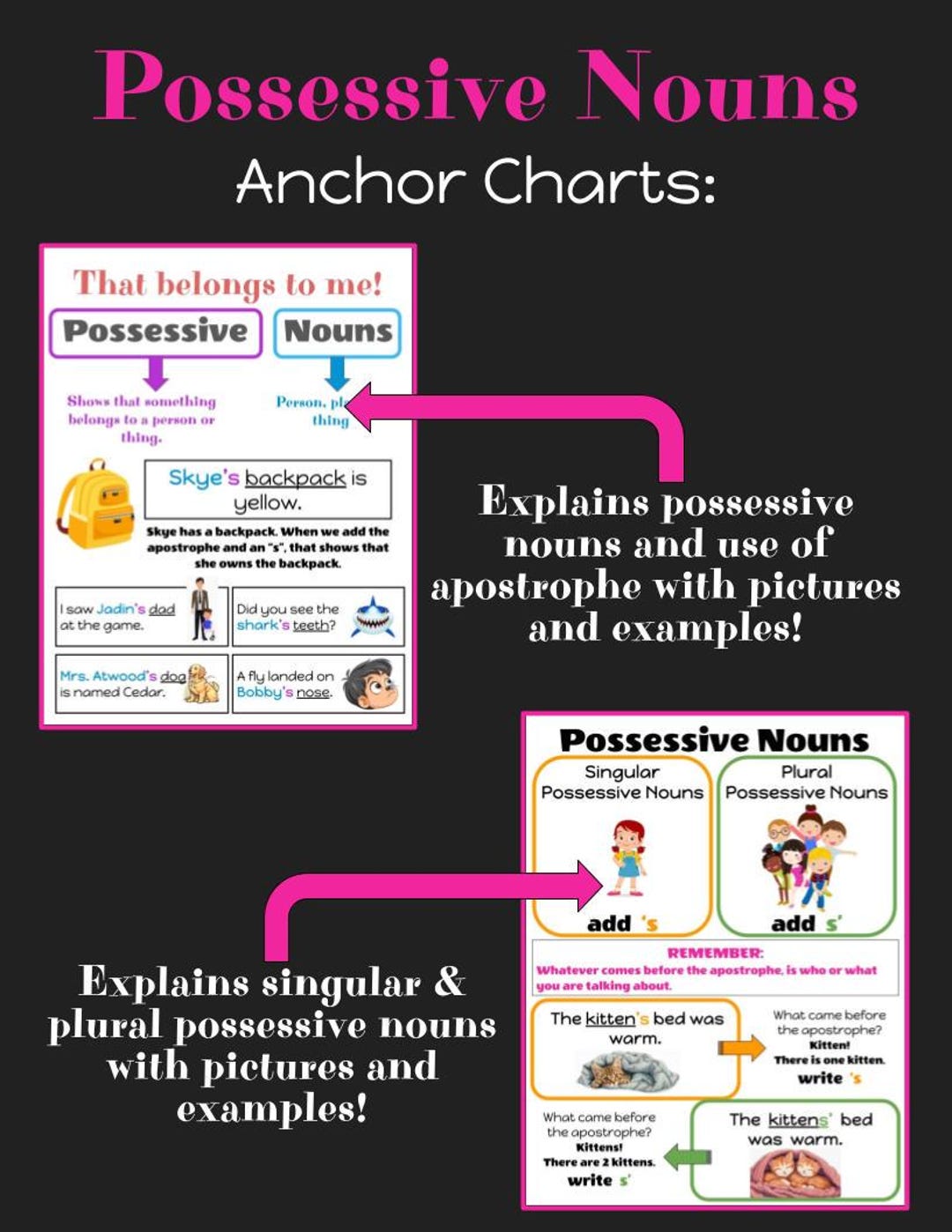 Teaching: Possessive Nouns Anchor Charts - Etsy