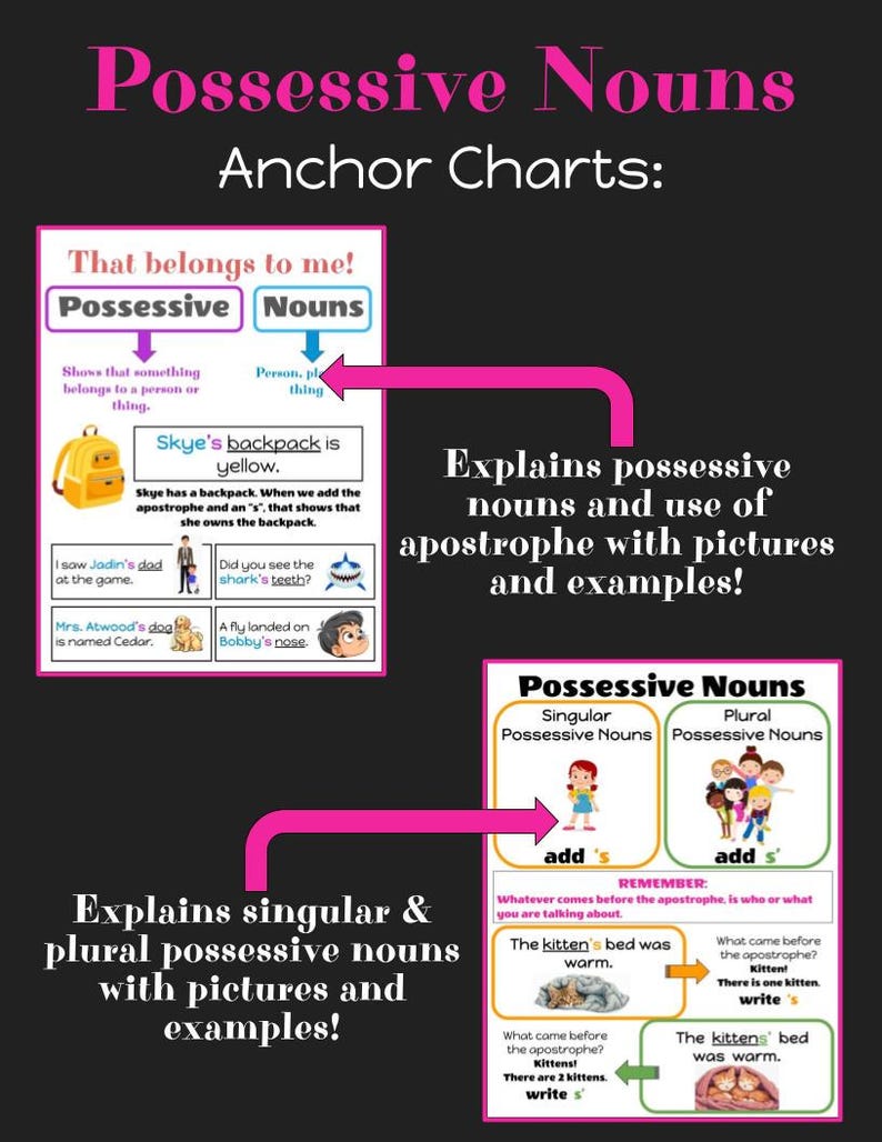 Teaching: Possessive Nouns Anchor Charts - Etsy