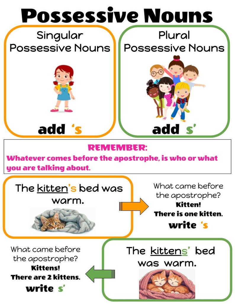 Teaching: Possessive Nouns Anchor Charts - Etsy