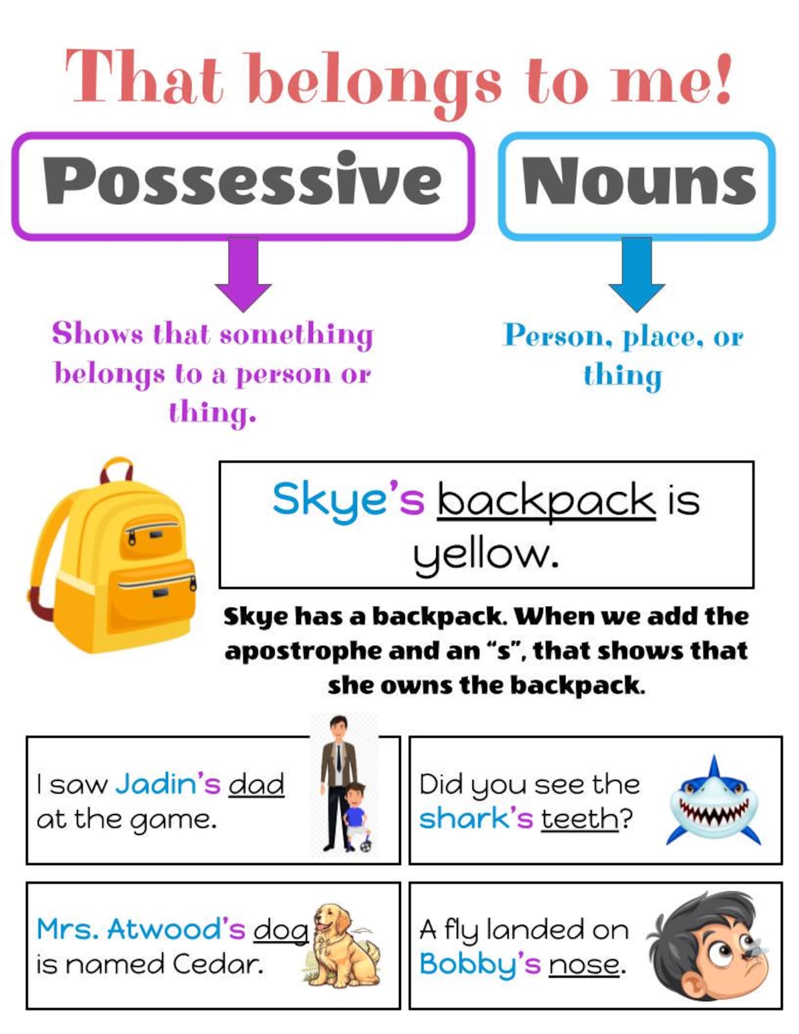 Teaching: Possessive Nouns Anchor Charts - Etsy