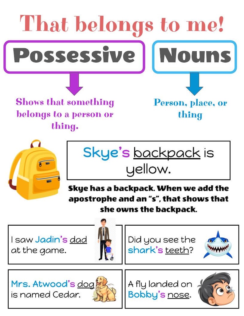 Teaching: Possessive Nouns Anchor Charts - Etsy