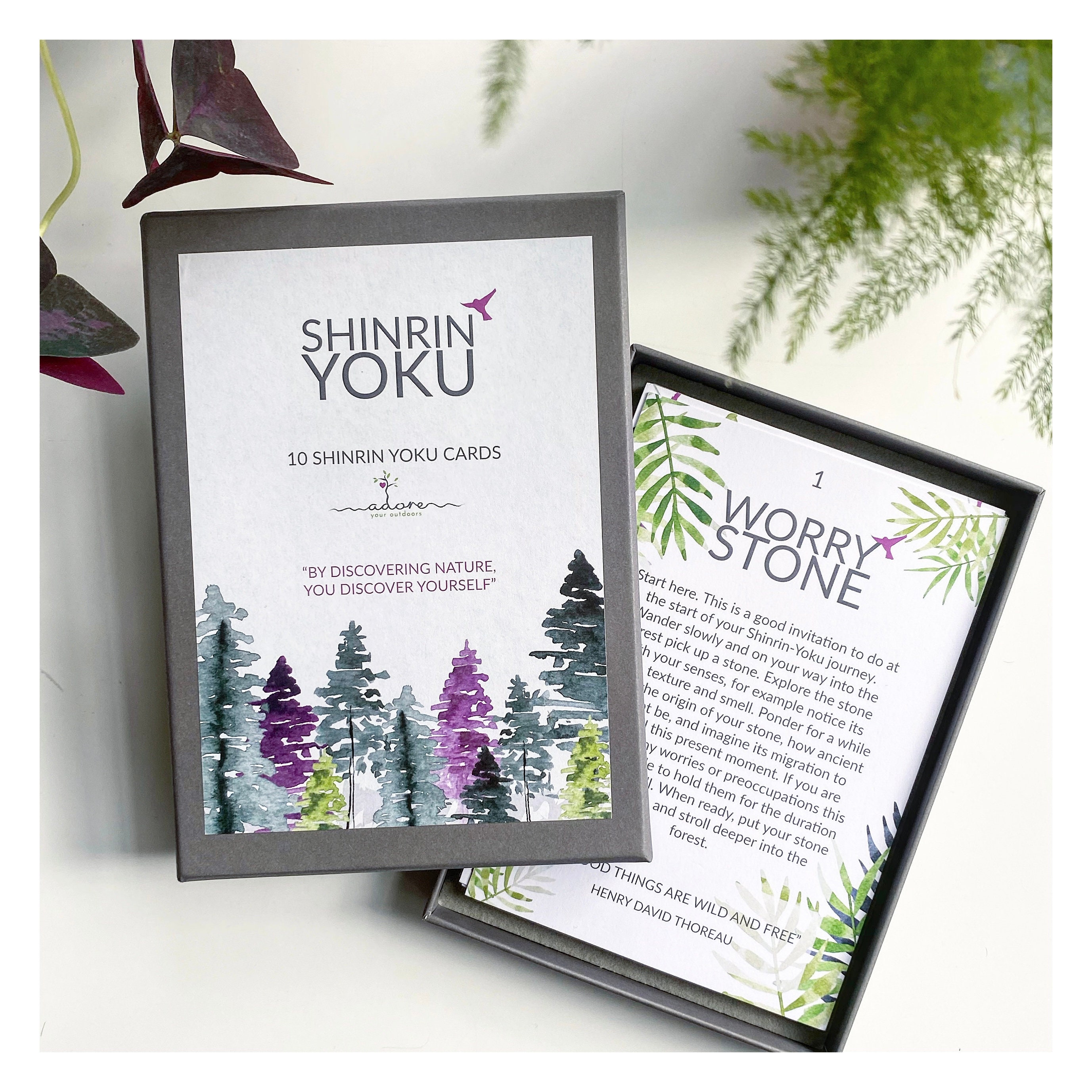 Nature Activity Cards. Forest Bathing Cards. Mindfulness Cards. Forest ...