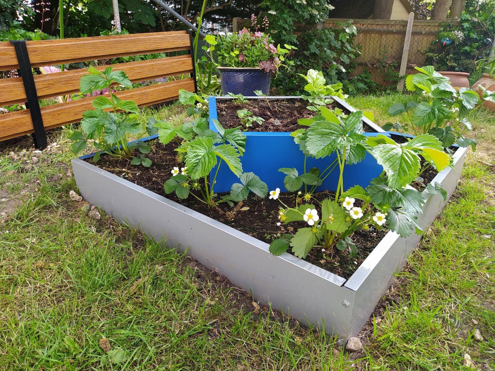Blue Metal Garden Raised Bed Kit 100cm X 50cm - Etsy