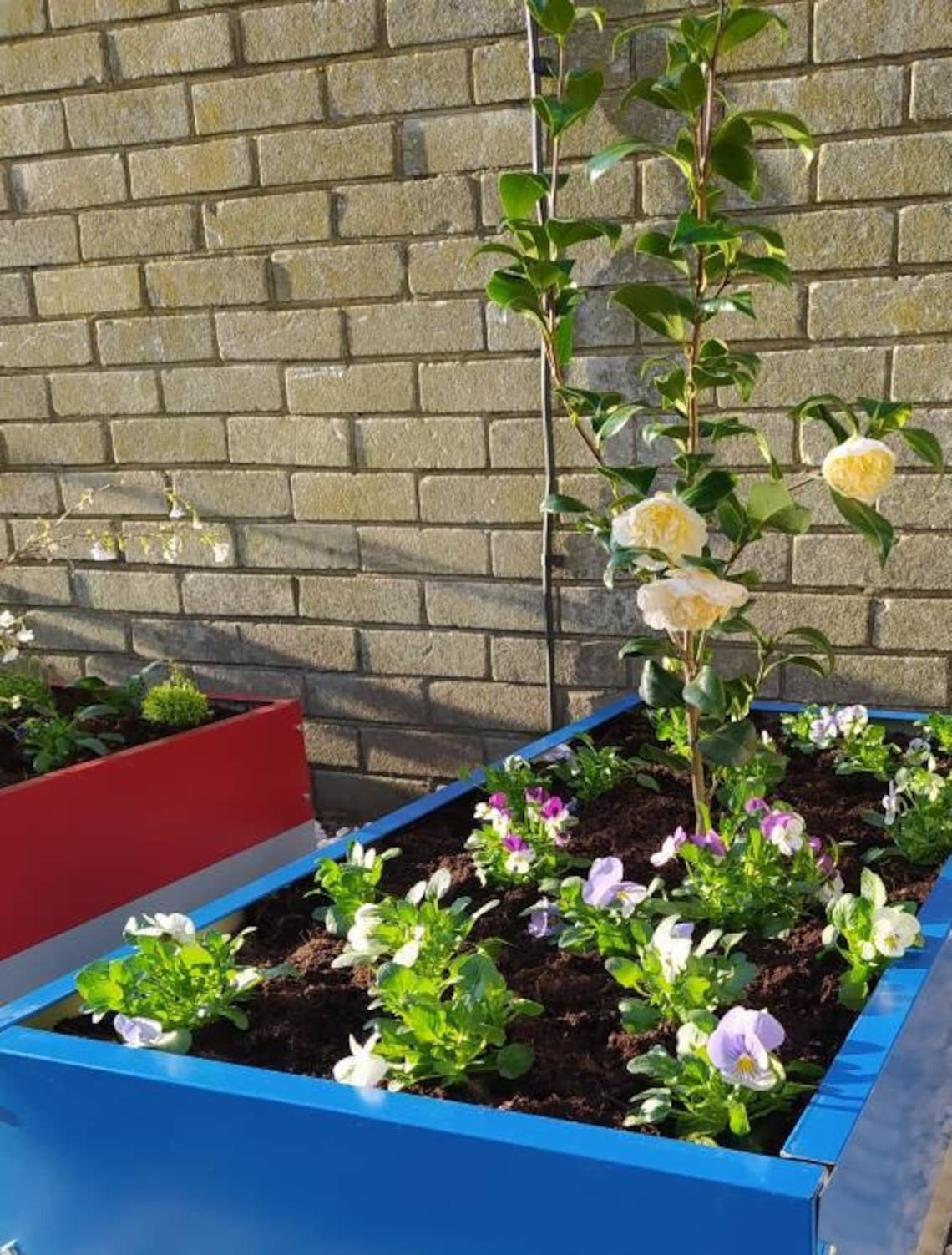 Blue Metal Garden Raised Bed Kit 100cm X 50cm - Etsy