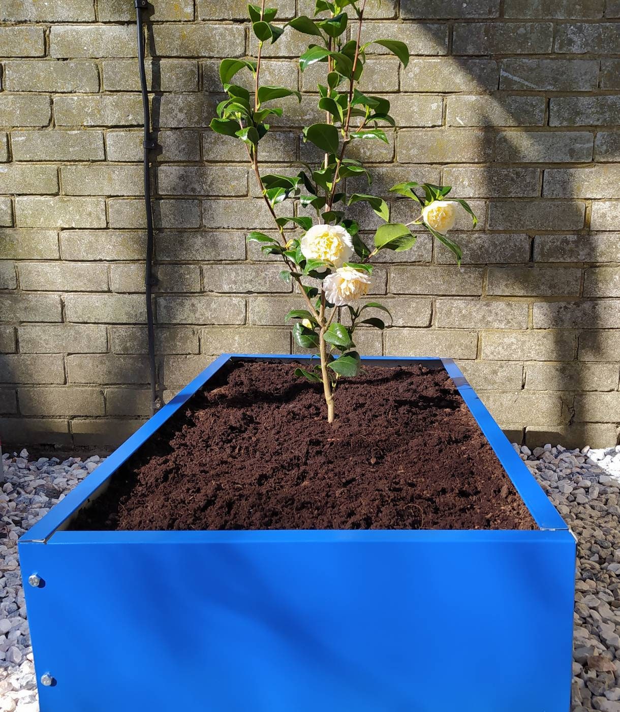 Blue Metal Garden Raised Bed Kit 100cm X 50cm - Etsy