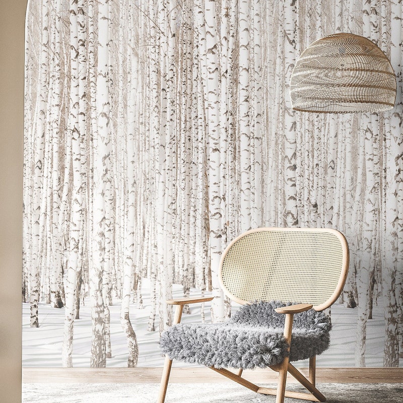 Birch Tree Wallpaper - Etsy