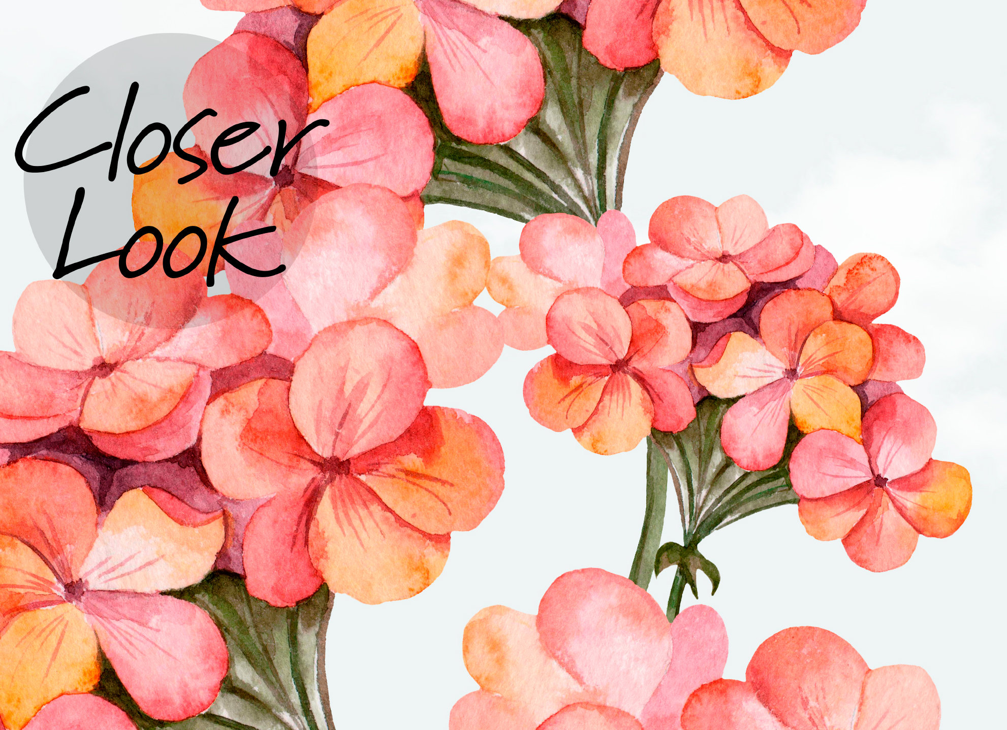 Kids Floral Wallpaper Cute Flower Gardens Wall Mural Peel and | Etsy