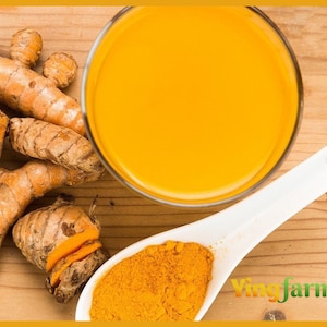 Yingmart 17.63oz 1.1lbs Turmeric Starch Powder 100% Pure Medicinal Herb ...