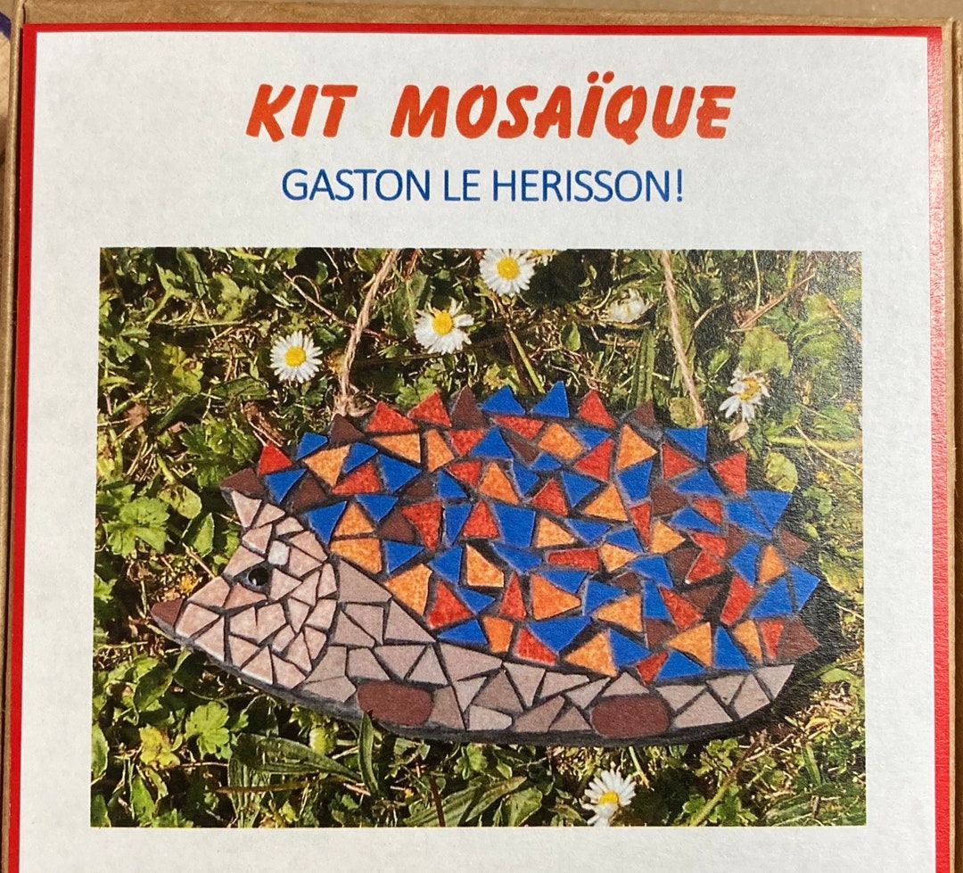 Kit mosaïque hérisson DIY pour enfant ou adulte débutant, kit créatif ...