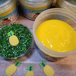 Who Lives in A Pineapple Under the Sea? - Etsy