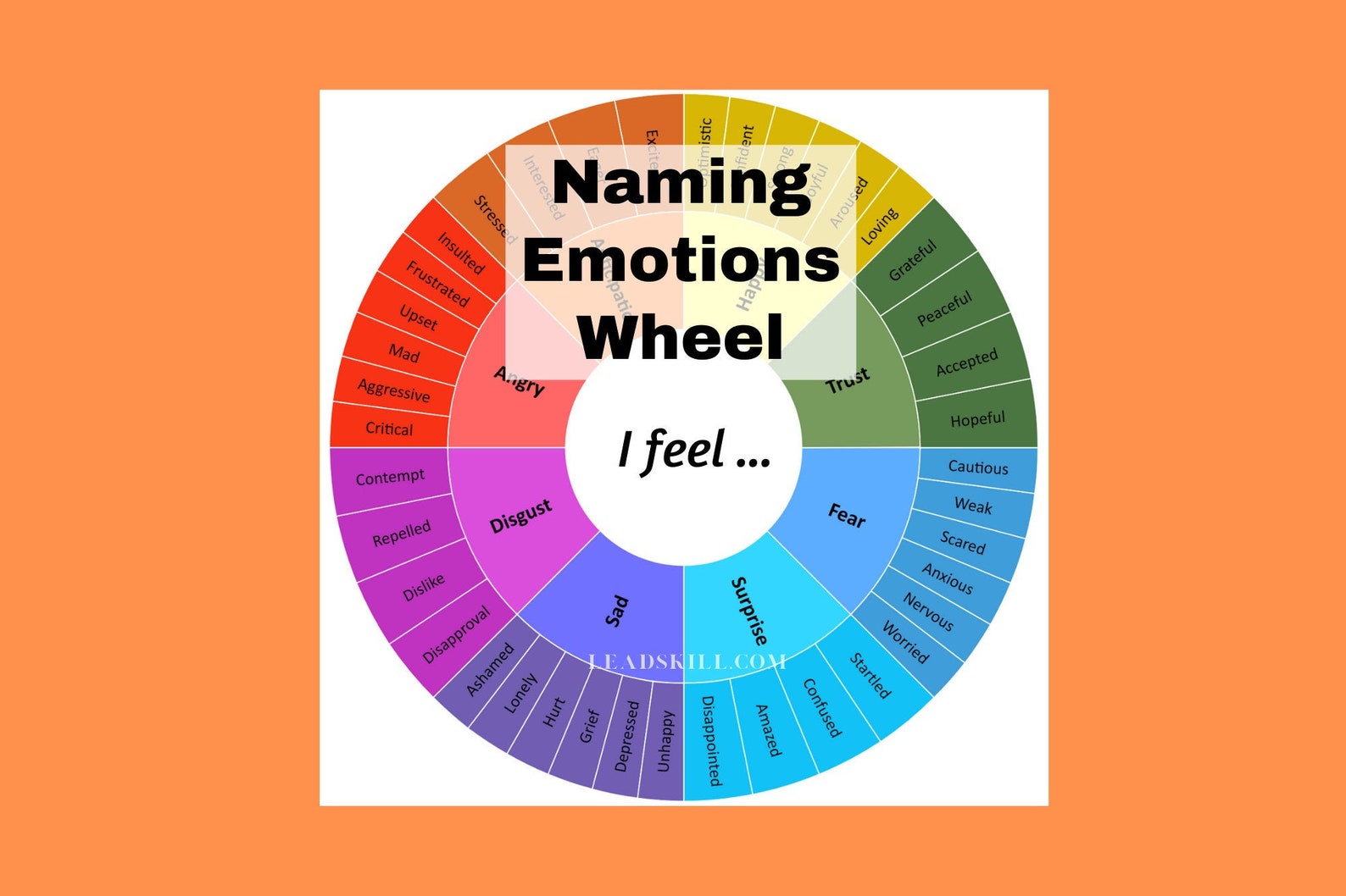 NAMING Emotions DIGITAL DOWNLOAD 48 Emotions for Emotional Intelligence ...