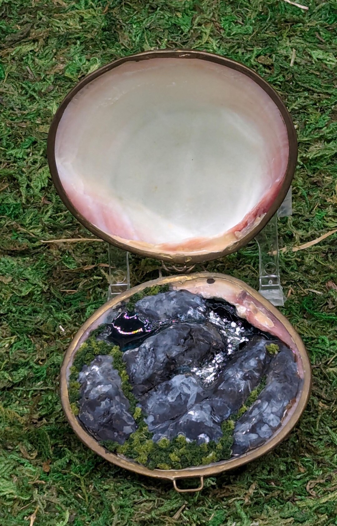Hurricane Helene Fundraiser: WNC Mountains in a Clamshell - Etsy