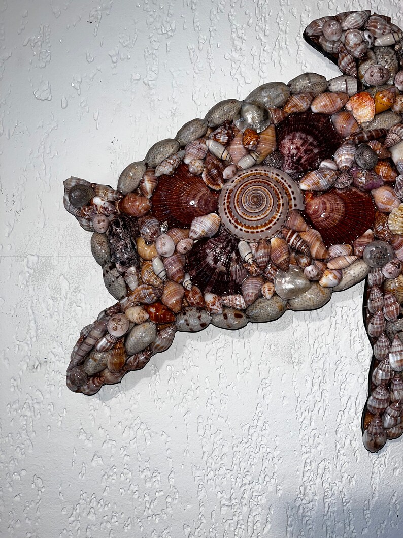 Seashell Turtle Nautical Wall Decor Beach Decor Nautical Decor Gift for ...