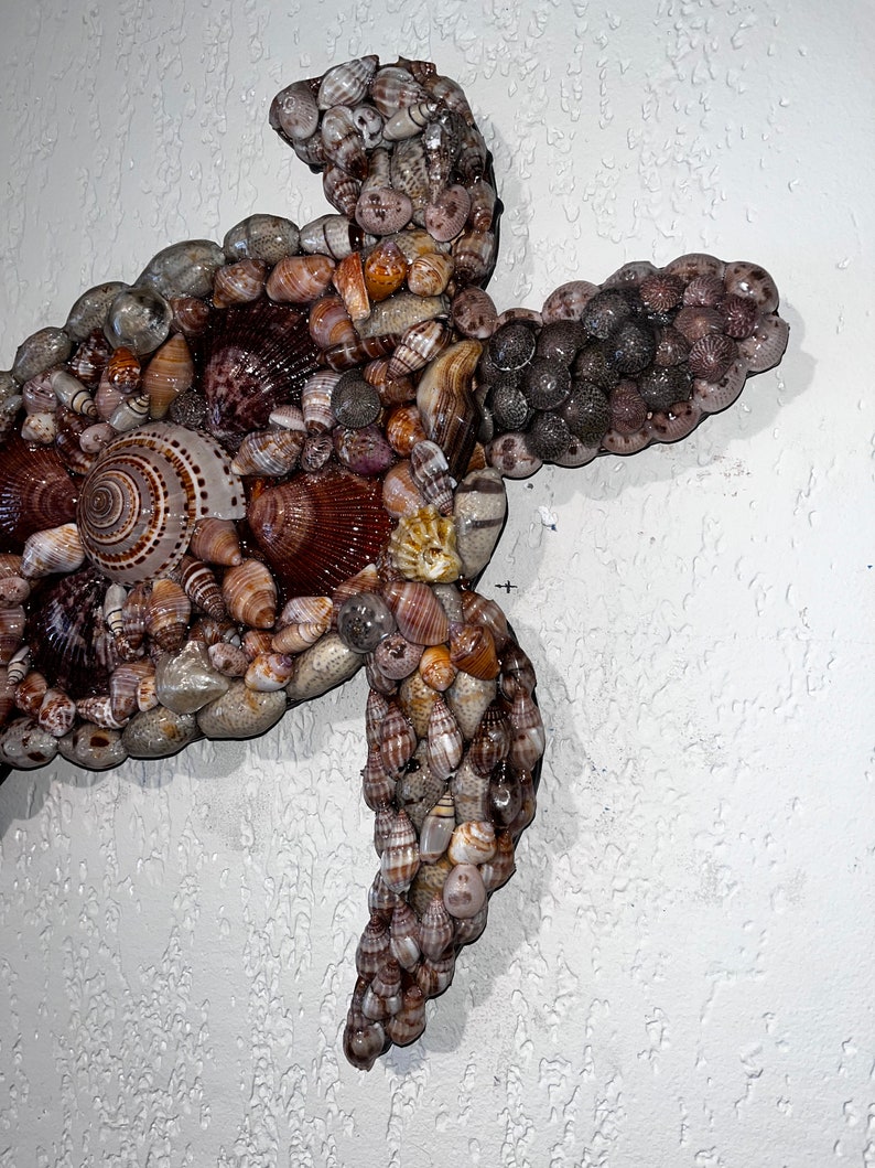 Seashell Turtle Nautical Wall Decor Beach Decor Nautical Decor Gift for ...