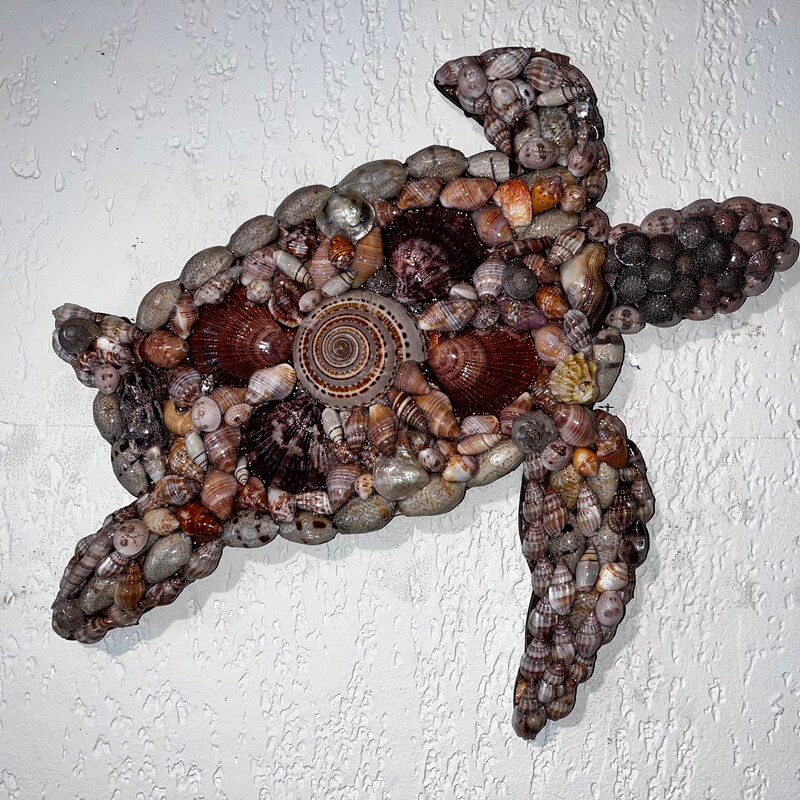 Seashell Turtle - Etsy