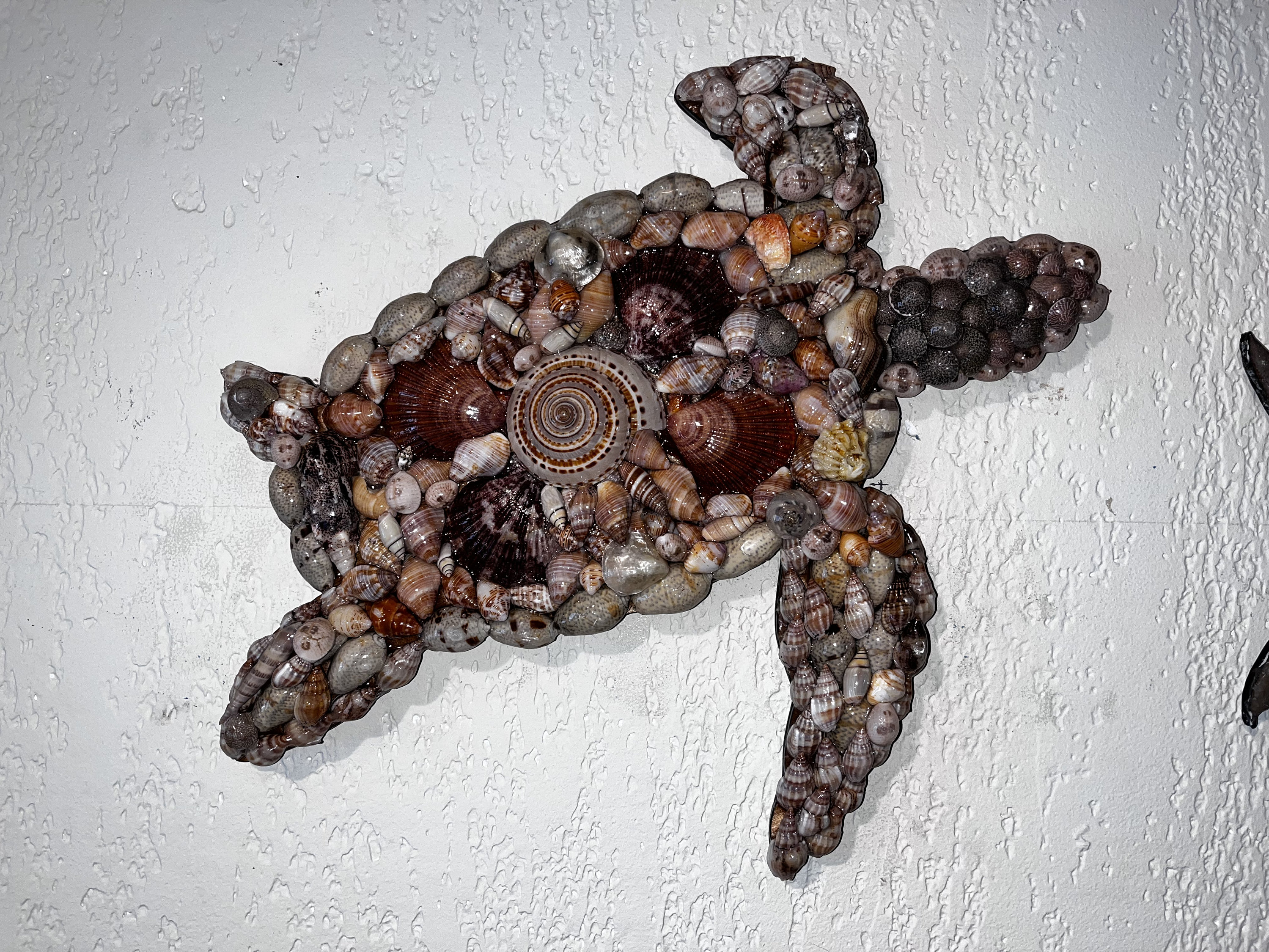 Seashell Turtle Nautical Wall Decor Beach Decor Nautical Decor Gift for ...
