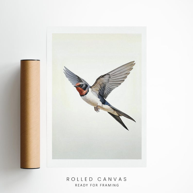 Vintage Wall Art Set of 3 Swallow Posters - Birds Poster - Swallow Wall ...
