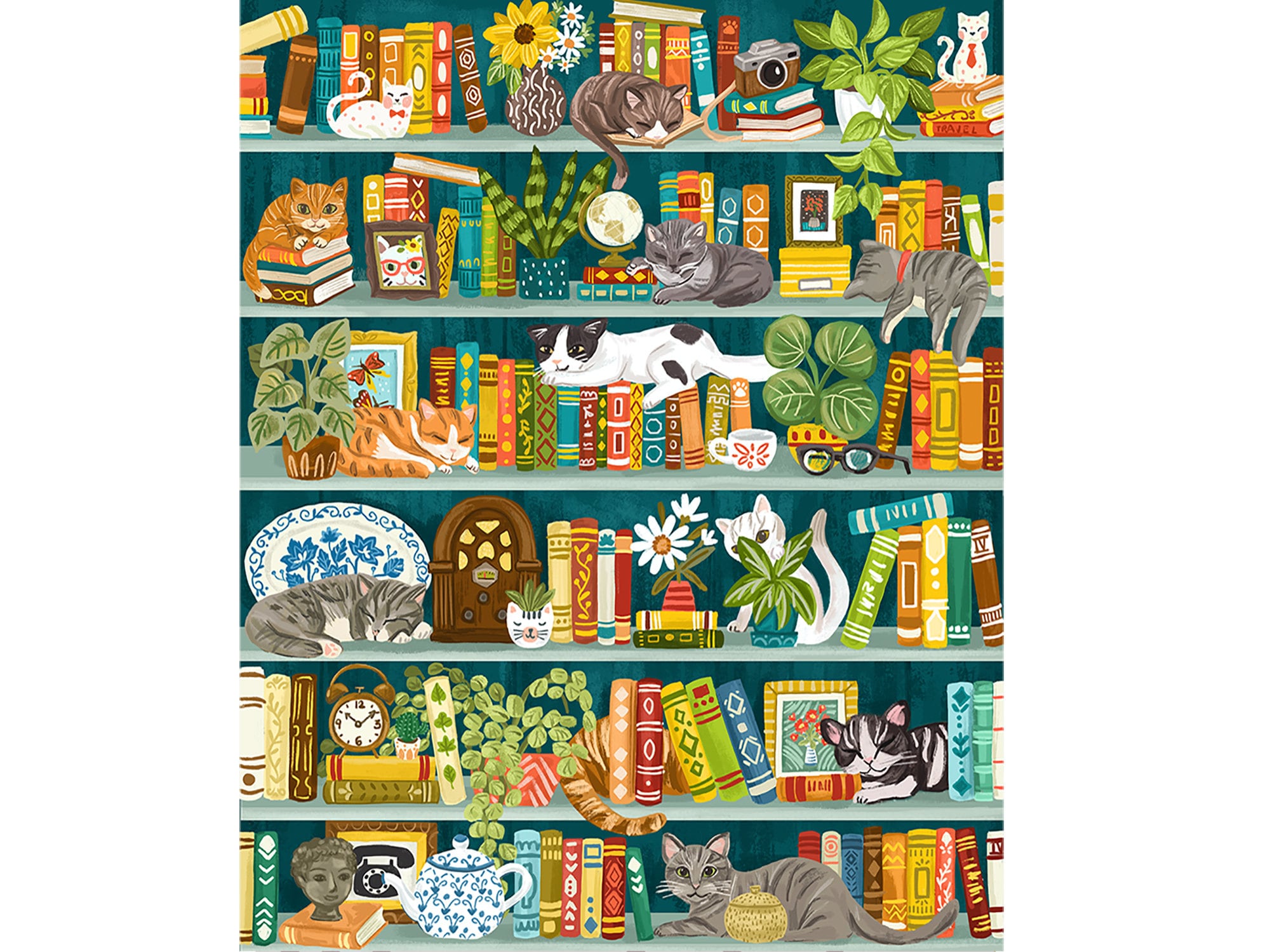 CAT LIBRARY - Etsy