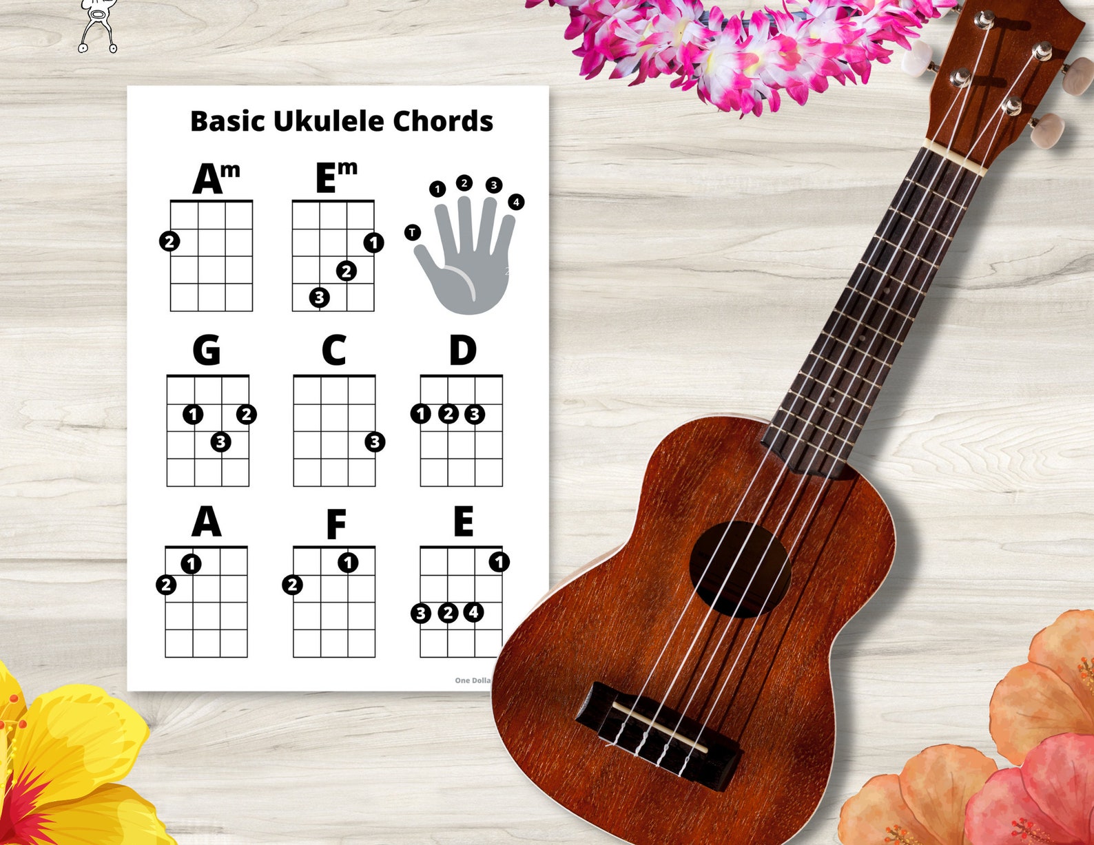 Beginner Ukulele Basic Chords Sheet Great for Beginners - Etsy