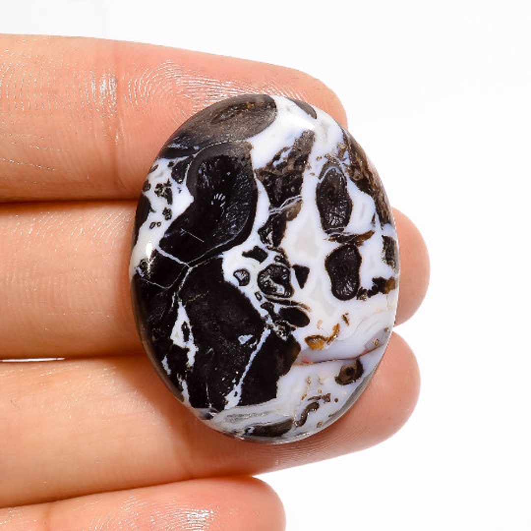 Natural Palm Root Agate Oval Cabochon Gemstone for Making Jewelry ...