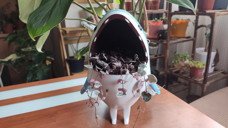 Shark Plant Pot / Planter Inspired in Final Fantasy XIV 3d - Etsy