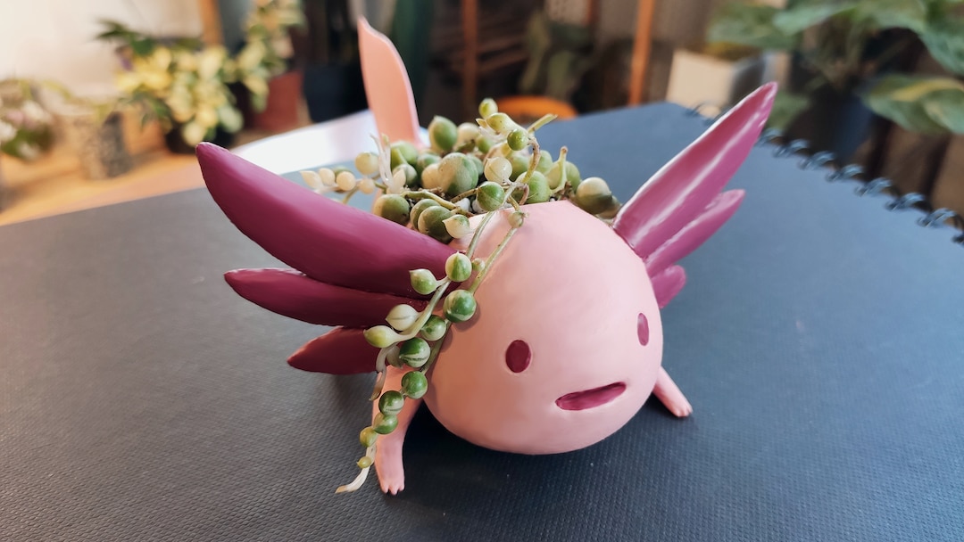 Axolotl Plant Pot / Planter Inspired in Final Fantasy XIV 3d Printed in ...