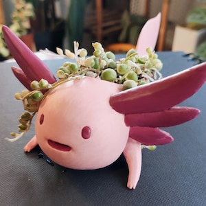 Axolotl Plant Pot / Planter Inspired in Final Fantasy XIV 3d Printed in ...