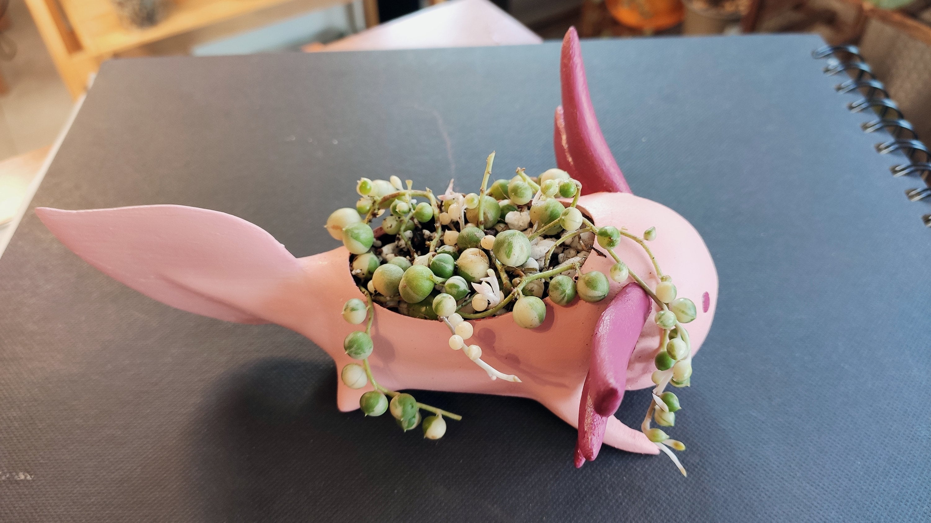 Axolotl Plant Pot / Planter Inspired in Final Fantasy XIV 3d Printed in ...