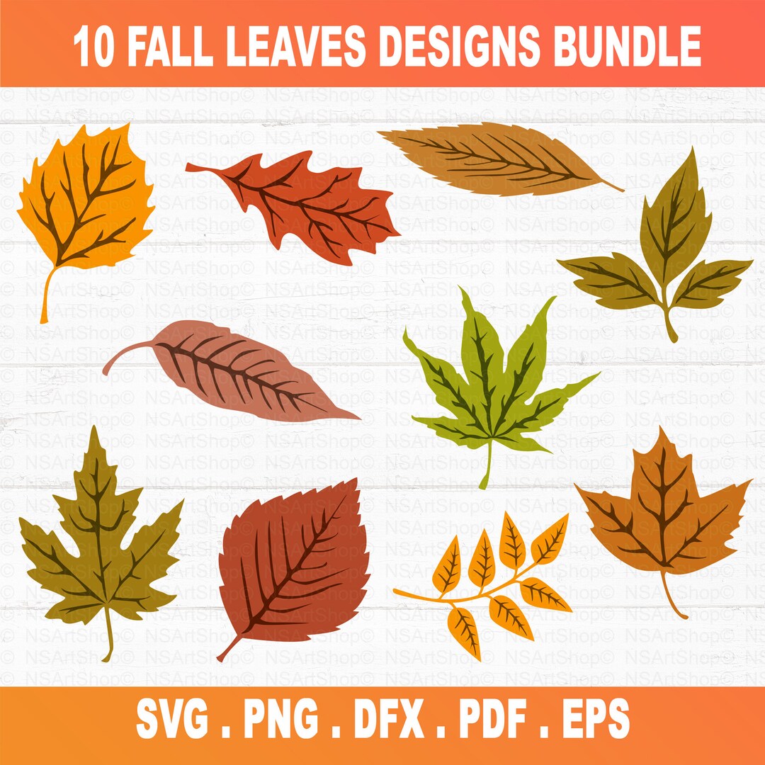 Fall Leaves SVG Bundle, Autumn Svg, Leaf Svg Fall Svg Files, Autumn Png ...