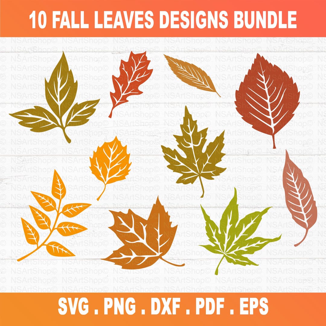 Fall Leaves SVG Bundle, Autumn Leaf Designs, Cit File, Cricut ...
