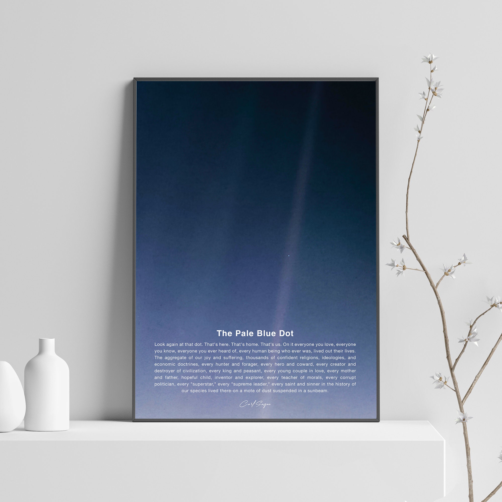 Pale Blue Dot Poster, Space Poster, Voyager 1, Carl Sagan, Astronomy ...
